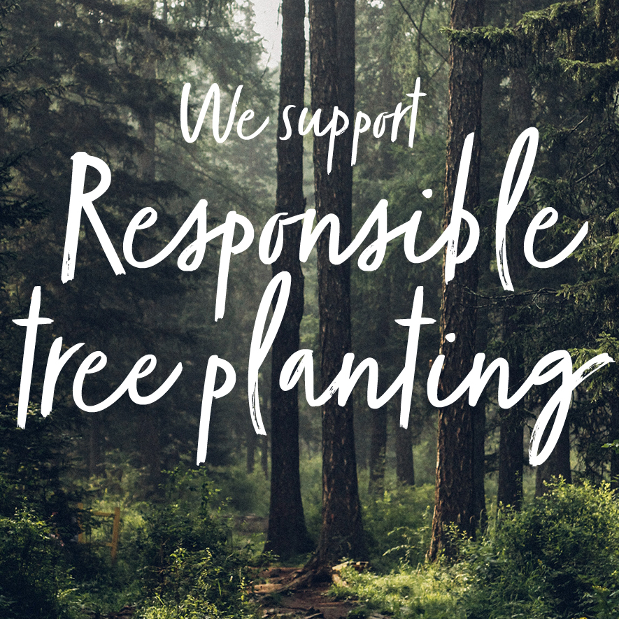 1 Tree planted for every order | CJK